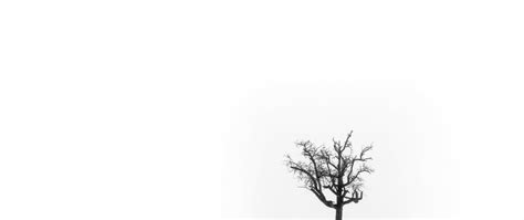 Develop And Test React Components In Isolation Dev Community