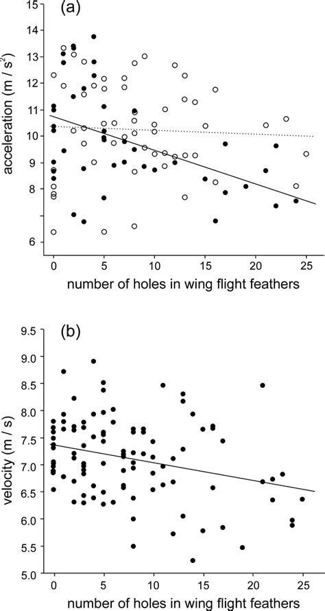 The Relationship Between Maximum Acceleration A And Maximum Velocity Download Scientific