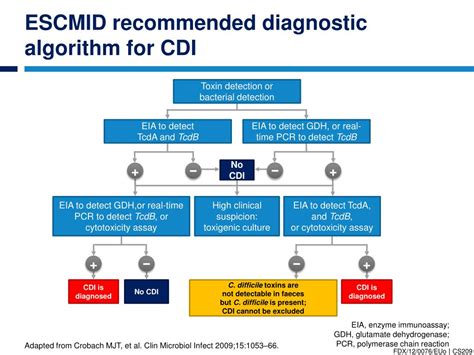 Ppt Introduction To Clostridium Difficile Infection Powerpoint