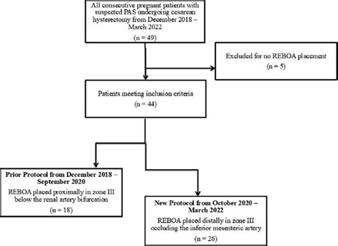 Study Flow Chart And Timeline Download Scientific Diagram