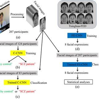 Architectures Of A CCNN And B FECNN Relu Dropout And Softmax Download Scientific