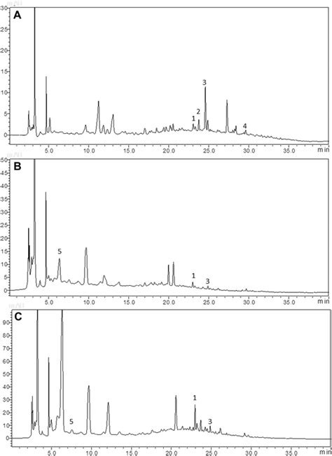 Hplc Chromatograms Fingerprint Of Methanolic Extracts Obtained