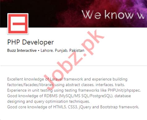 Buzz Interactive Lahore Jobs 2020 For Php Developer 2024 Job Advertisement Pakistan
