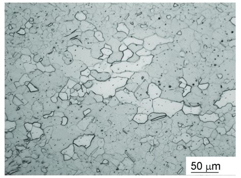 The Optical Microstructure Of Az31 Base Metal Download Scientific Diagram