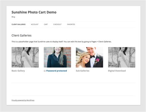 Best WordPress Plugins For Photographers
