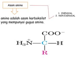 Presentation1 Biokimia Pangan Asam Amino Pptx