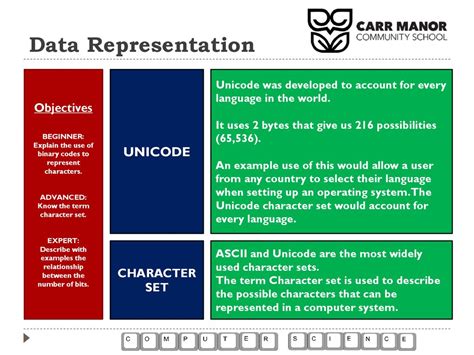 Data Representation Question Characters Ppt Download