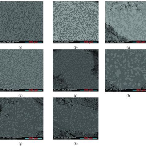 Dsc Results Of Pla Pcl And Their Composites Download Scientific Diagram