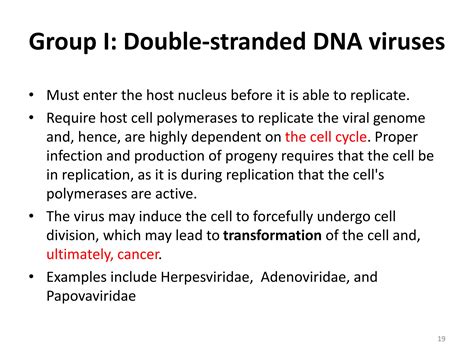 Viral Replication 1 Virus Replicatiin And Its Life Cycle Ppt