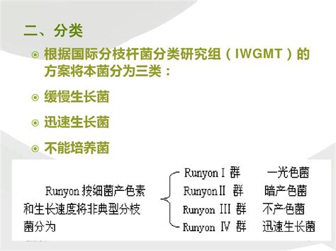 结核分枝杆菌 Word文档在线阅读与下载 无忧文档