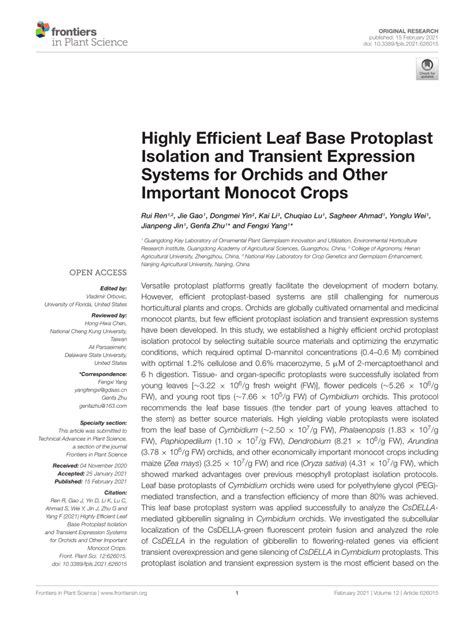 Pdf Highly Efficient Leaf Base Protoplast Isolation And Transient Expression Systems For