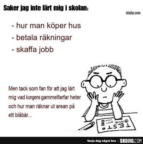 Saker jag inte lärt mig i skolan Skämt och de bästa roliga bilderna