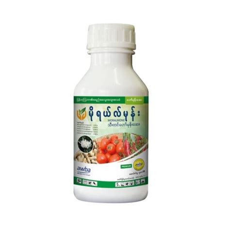 မိုရယ်လ်မုန်း Myanma Awba