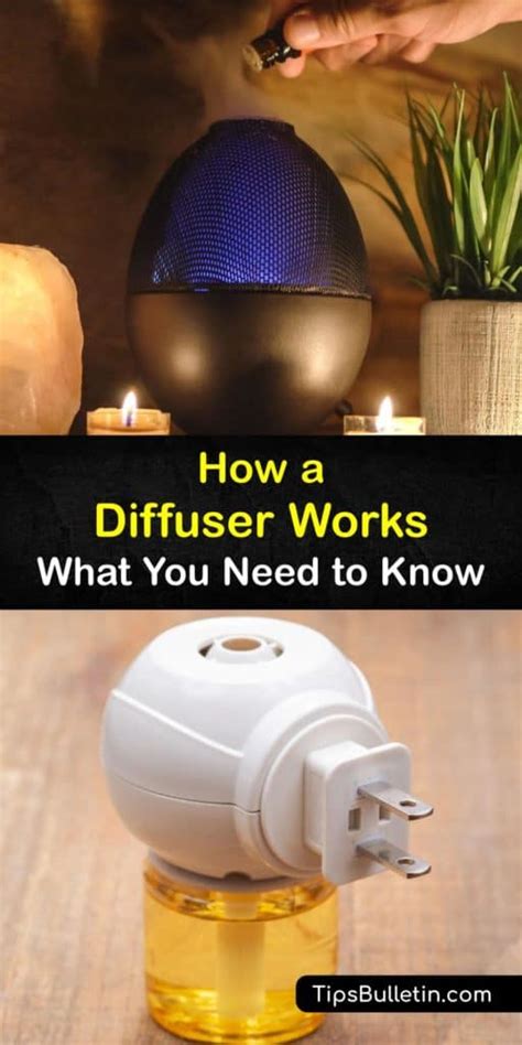 How A Diffuser Works What You Need To Know