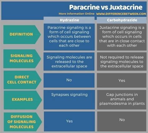 Difference Between Paracrine And Juxtacrine Signaling