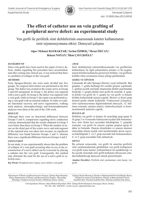 Pdf The Effect Of Catheter Use On Vein Grafting Of A Peripheral Nerve Defect An Experimental