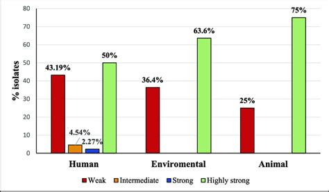 Characterization Considering Biofilm Formation Of Samples Of Download Scientific Diagram