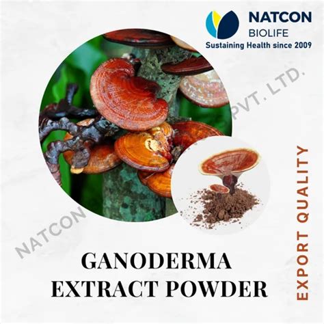 Ganoderma Extract Powder At ₹ 2501 Kg Extract Powder In Greater Noida Id 2854700912855