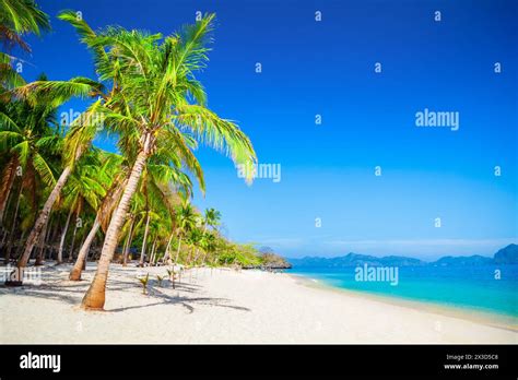 Beach With White Sand Coconut Palms And Turquoise Water In El Nido