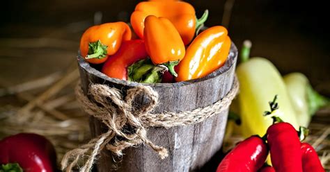 같은 듯 다른 피망과 파프리카… 건강에 더 좋은 것은