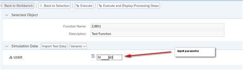 Using Brfplus In Sap Adhoc Query Sap Community