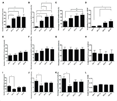 Quantification Of Astrocyte Marker Expression A D Gfap E H Download Scientific Diagram