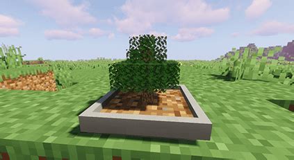 Bonsai Trees Minecraft Mod Apex Hosting