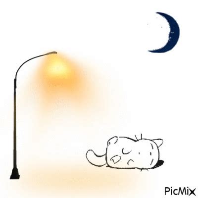Lazy Animated
