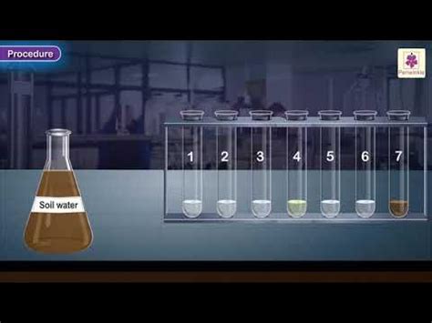 Determination of pH using pH papers or Universal Indicator | Chemistry ...