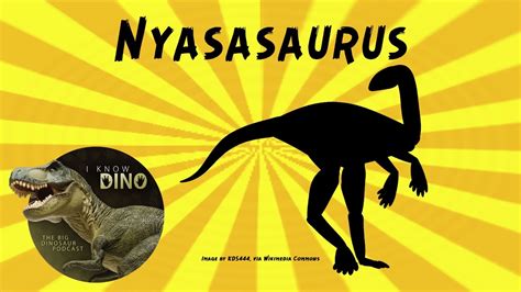 Nyasasaurus Dinosaur Of The Day Youtube