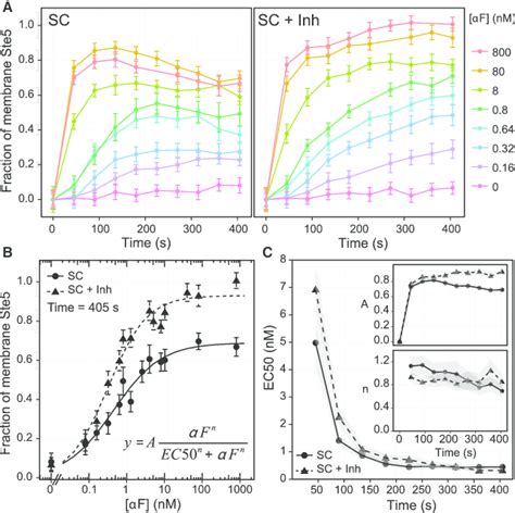 Time Dependent D R Curve For Ste5 Membrane Recruitment A Fraction Of
