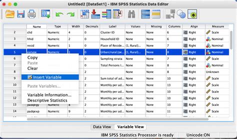 Spss Tutorial Data Modification In Spss Resourceful Scholars Hub