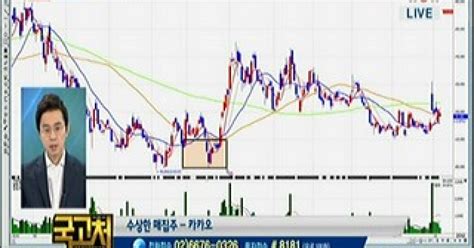 국고처 이헌상 황금바닥and수상한 매집주 카카오035720