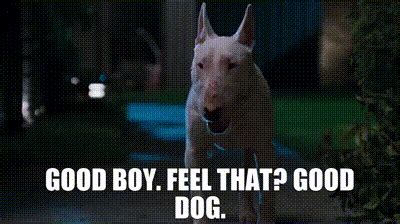 Next Friday Dog 