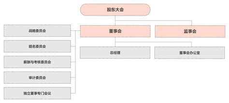 公司治理结构与董事信息 Tcl智家官网