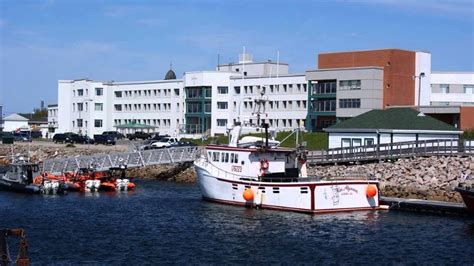 Lhorloge Les Frères Déraspe Accordi Chordify