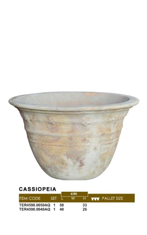 Cassiopeia Rosa Planters Vietnam Co Ltd