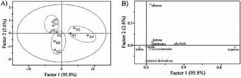 PCA Scores Plot Showing The Major Types Of Differences Between Maturing Download Scientific