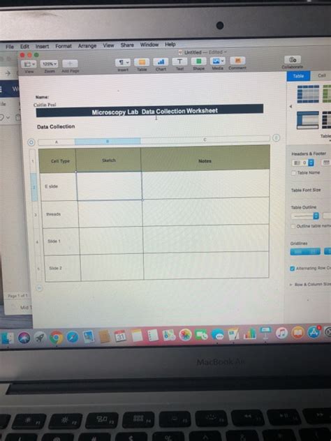 Format Arrange View Share Window Help Edit Insert
