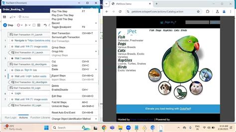Performance Testing Truclient Protocol Youtube