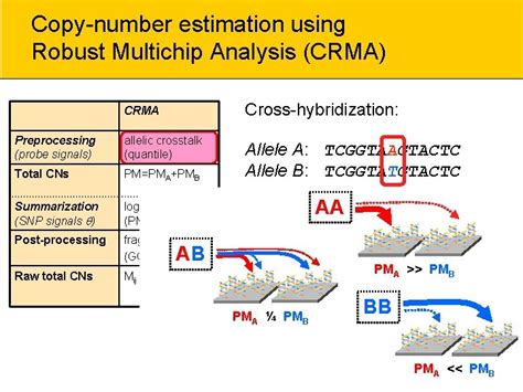 Copynumber Estimation Using Robust Multichip Analysis Supplementary