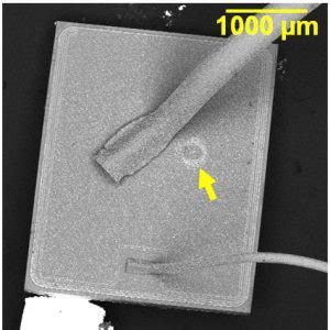 EOS Failure Of Power MOSFET SEM Lab Inc