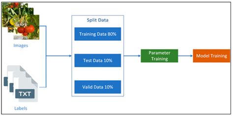 Tomato Fruit Detection Using Modified Yolov M Model With Convolutional Neural Networks