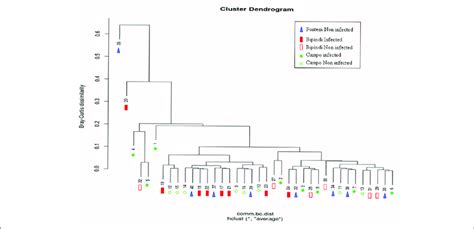 Hierarchical Cluster Dendrogram Based On Bray Curtis Index Values
