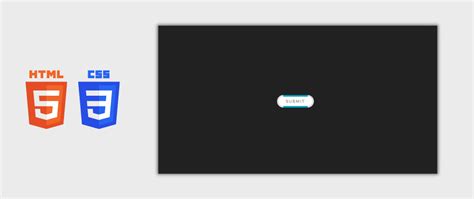 Day 2830 Css Button Hover Effect Animated Border Using Html And