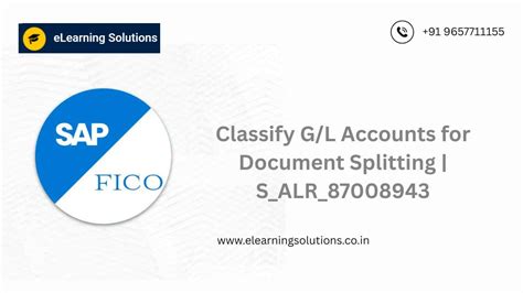 Classify G L Accounts For Document Splitting S Alr 87008943 Elearning Solutions