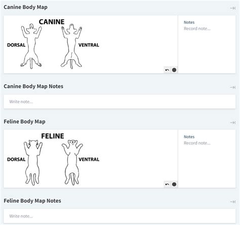 Caninefeline Body Map And Notes
