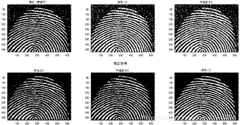 【数字图像处理】【matlab】【实验五】形态学图像处理matlab二值化图像去毛刺 Csdn博客