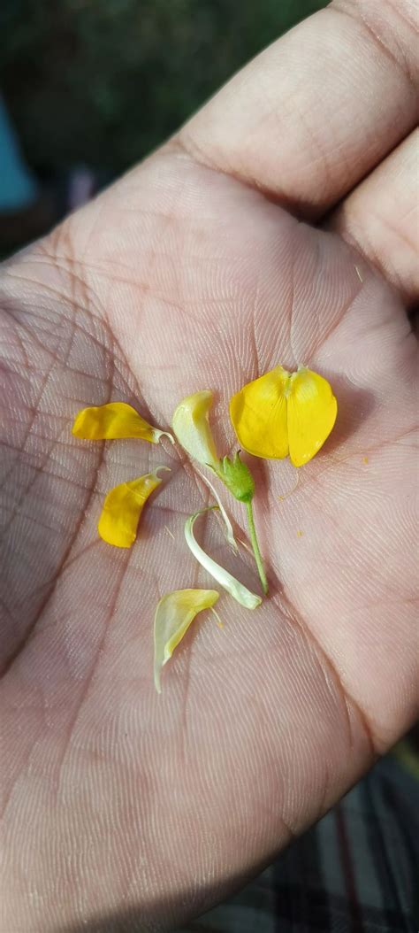 Pavan Kota Posted On Linkedin