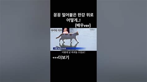 꽁꽁 얼어붙은 한강 위로 고양이가 걸어다닙니다 배우ver 배우 꽁꽁얼어붙은한강위로고양이가걸어다닙니다 Shorts Youtube